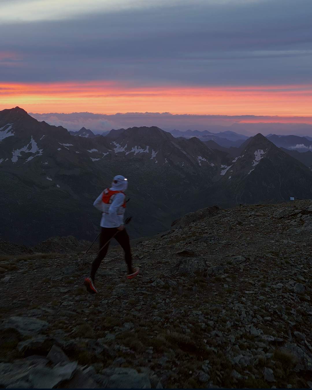 Competition Bar Albicocca | Enervit